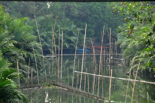 Calapan » more information Calapan, travel tips