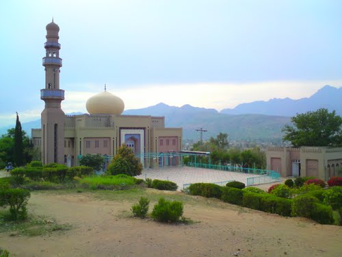 District Headquarter Hospital KDA Kohat, Khyber Pakhtunkhwa (+92 922 ...